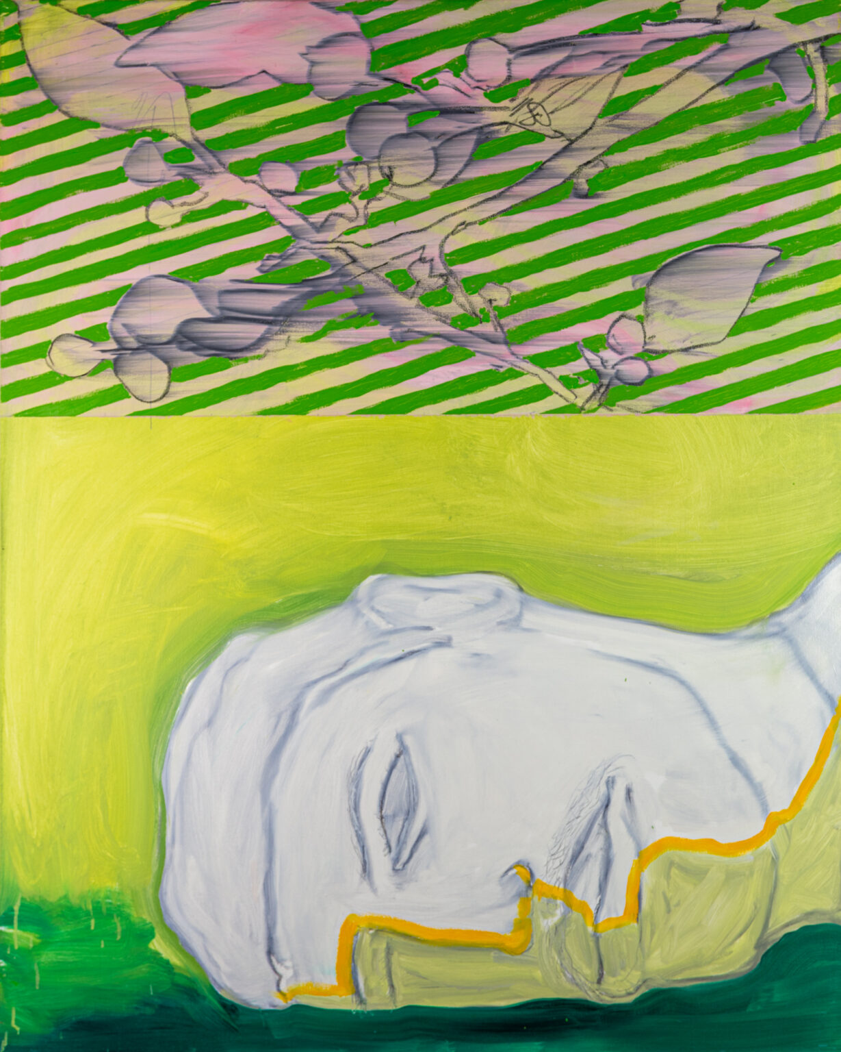 Bicameral Obfuscations - Andrew Cornell Robinson